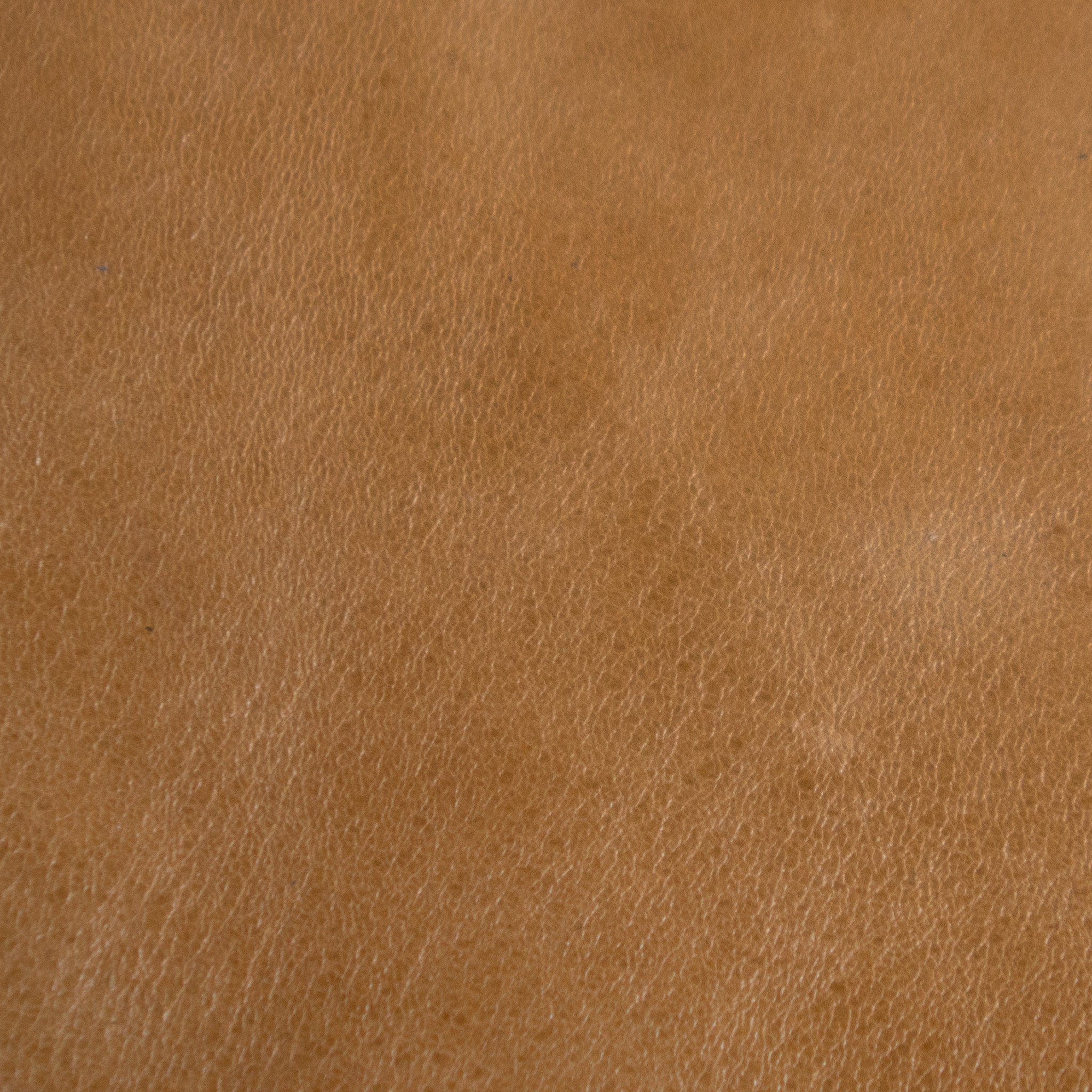 Seamless Smooth Leather Texture