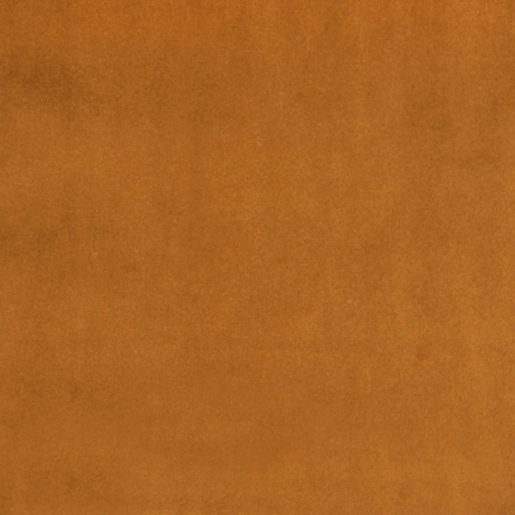 Butterscotch – CROFT HOUSE