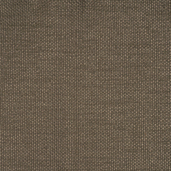 Caper – CROFT HOUSE