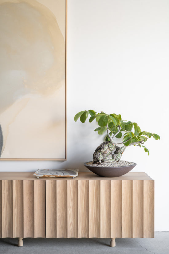 Zuma Collection – CROFT HOUSE