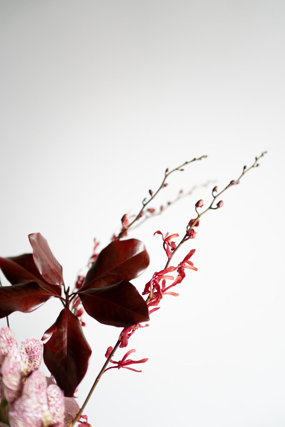 Sierra Chair x Studio Faith Blakeney - Croft House Design Studio - LA ...