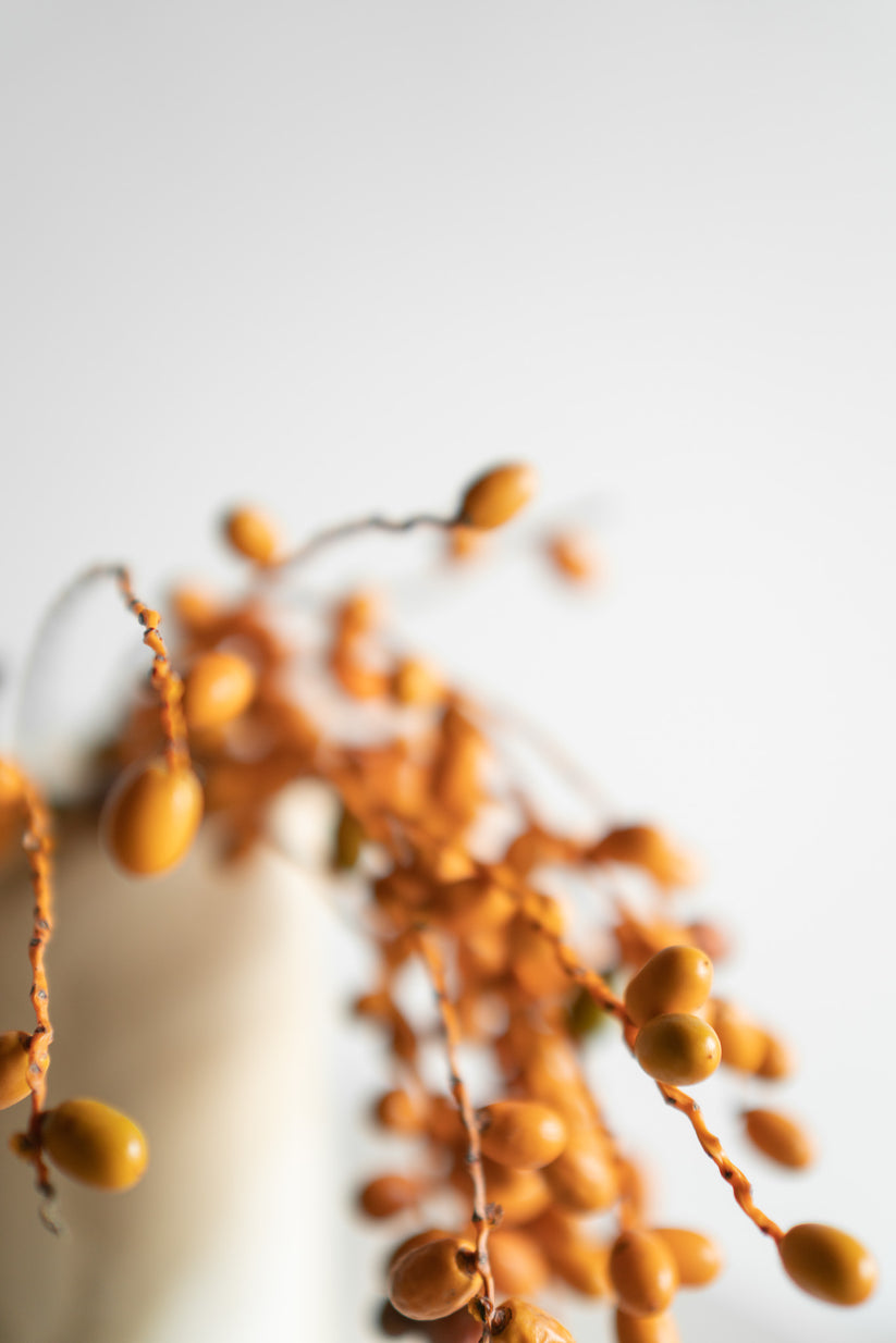 Sierra Chair x Tali Roth Interior Design- Croft House Design Studio ...