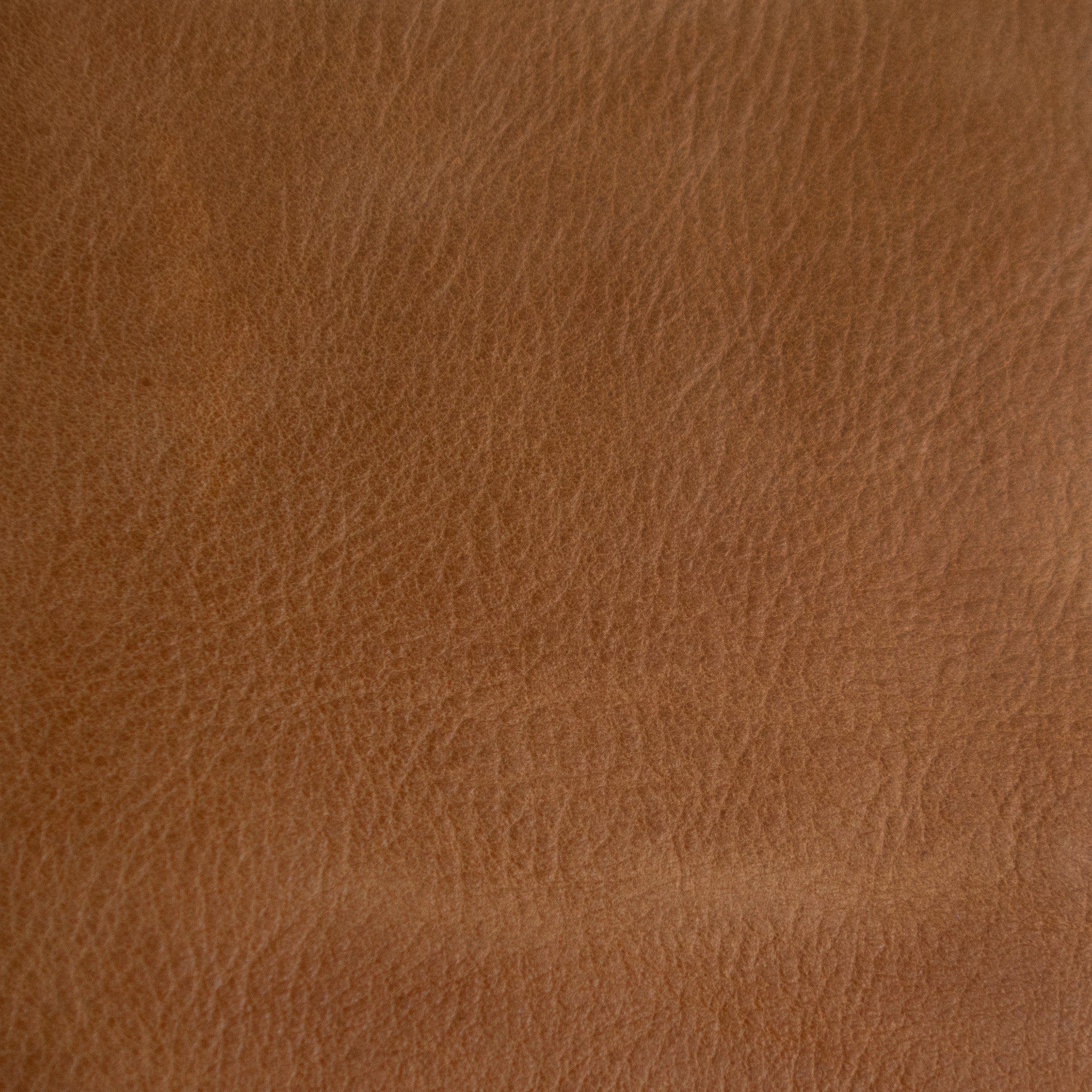 Seamless Distressed Leather Texture